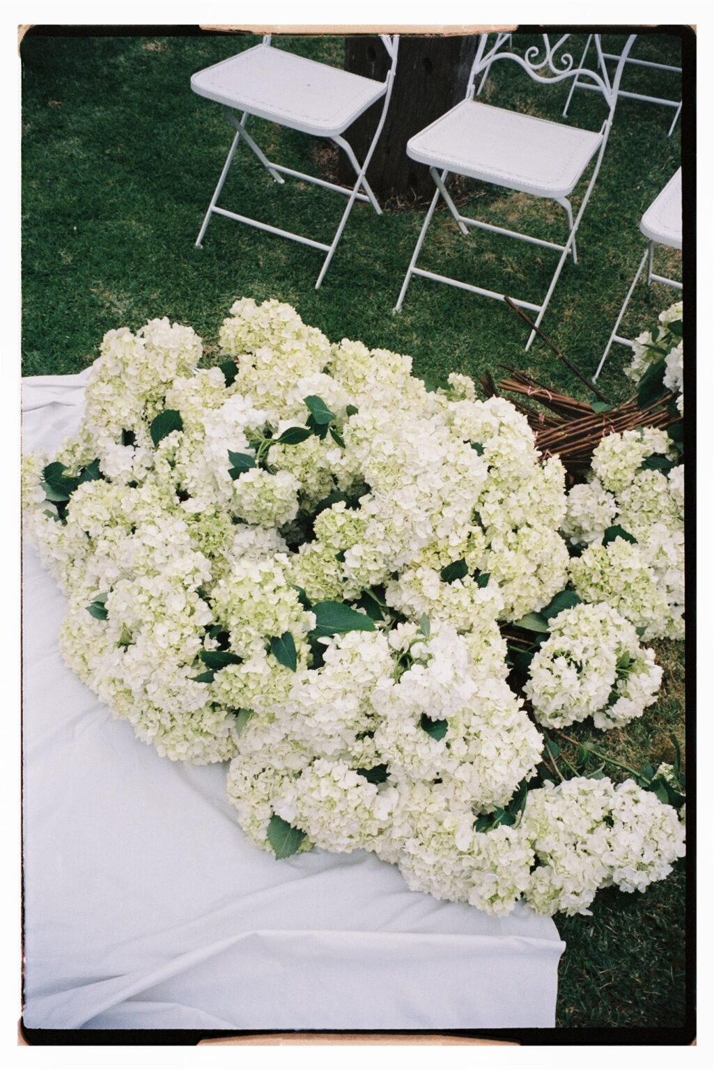 Romantic Intimate Wedding: Elegance and Charm at Frolic Lane ...